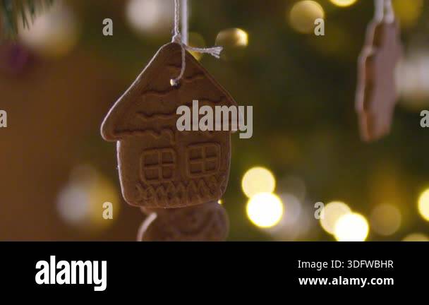 Christmas tree gingerbread cookie decoration on branch Stock Video ...