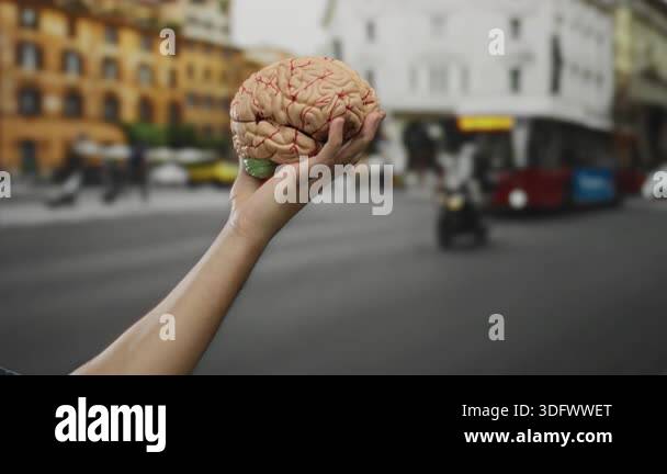 Man holding brain model at bus stop with blurred bus in european city ...