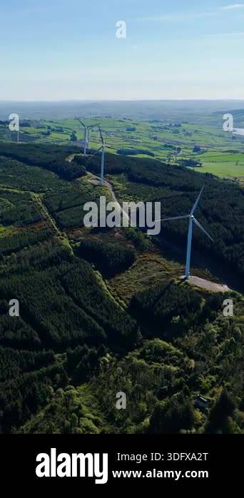 Wind farm atop a hill with evergreen trees and a narrow road Stock ...