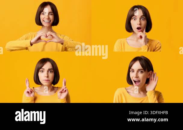 Portraiture set up Stock Videos & Footage - HD and 4K Video Clips - Alamy