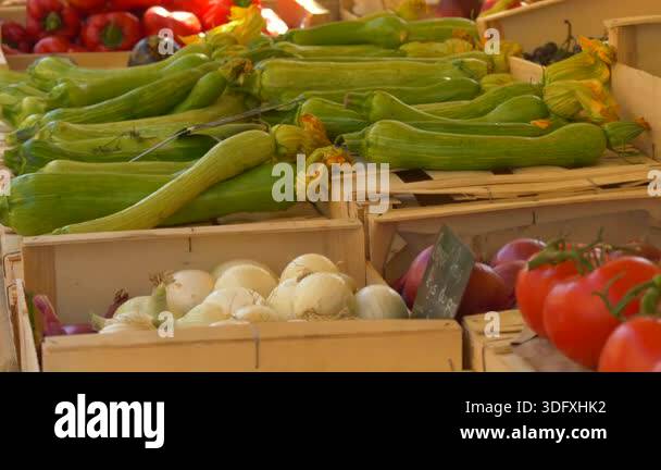 Close up of fresh zucchini with blossoms, onions, and tomatoes ...
