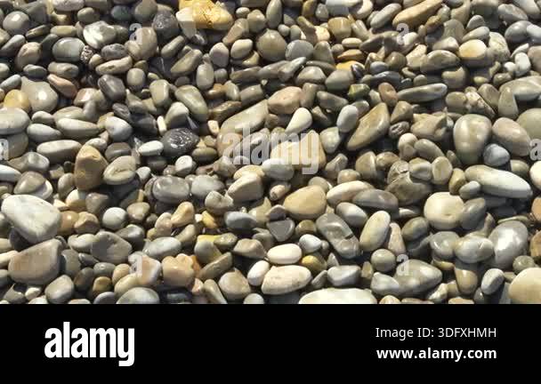 High-resolution image showing natural beach pebbles of different shapes ...
