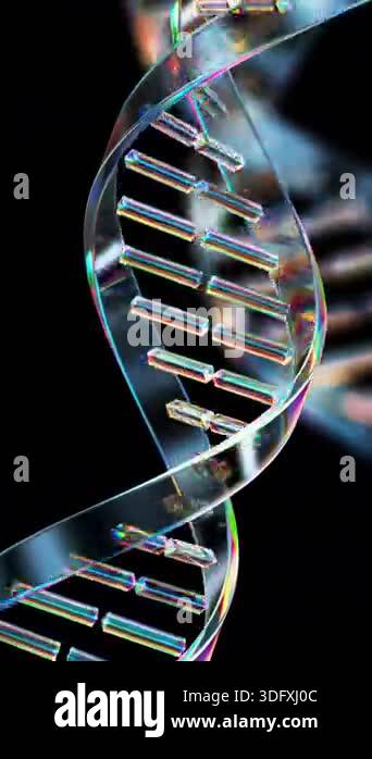 Glass DNA double helix strand rotates on black background loop ...