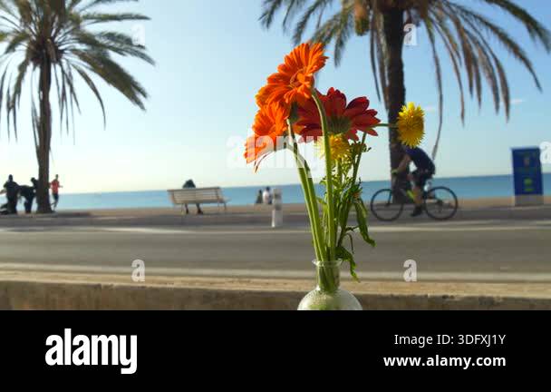 Bright orange and yellow Gerbera daisies in a glass vase standing on a ...
