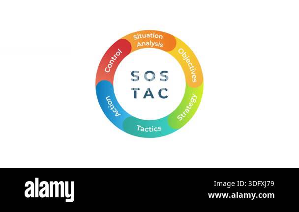 A colorful, animated circular diagram illustrates the SOSTAC marketing ...
