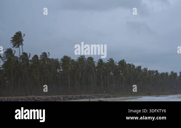 Seaside landscape during natural disaster hurricane. Strong cyclone ...