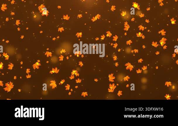 Beautiful maple leaves falling on the stage backdrop Stock Video ...