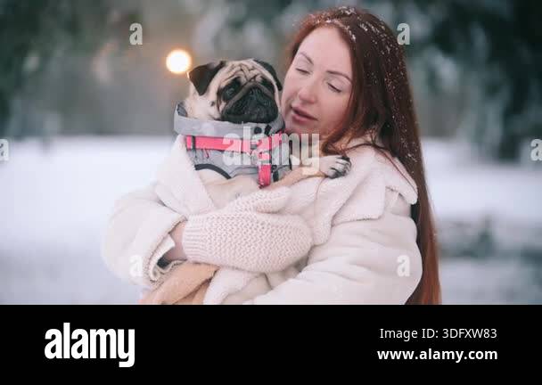 The pug is shivering from the cold. A worried young woman hugs her dog ...