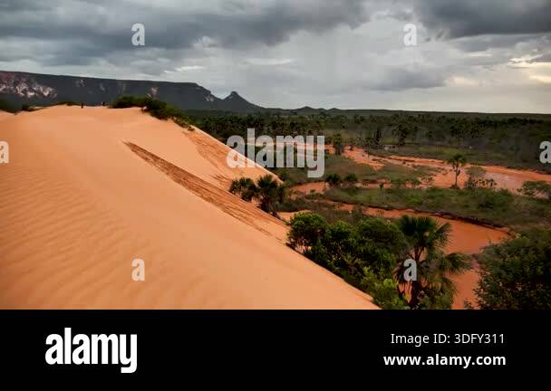 Nature in Jalapao national park with a table mountain in the background ...