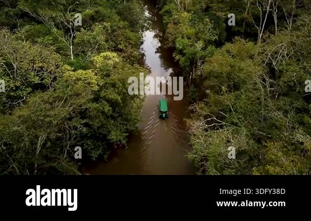 Boat cruising on the amazon river near Manaus with a lush nature ...