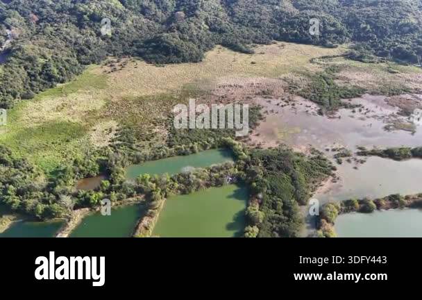 Luk Keng Fish Pond: Tranquil Nature and Wildlife Spot, Jan 3, 2026 ...