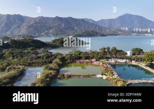 Luk Keng Fish Pond: Tranquil Nature and Wildlife Spot, Jan 3, 2026 ...