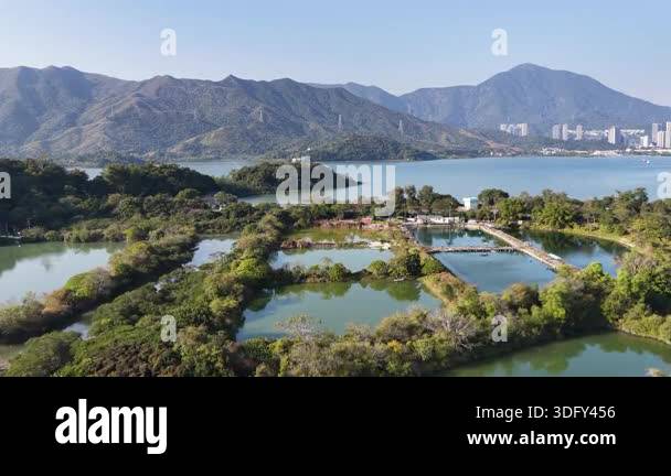 Luk Keng Fish Pond: Tranquil Nature and Wildlife Spot, Jan 3, 2026 ...