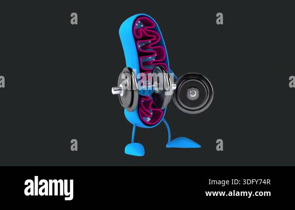 Fun 3D cartoon mitochondria cartoon character lifting weights (with ...