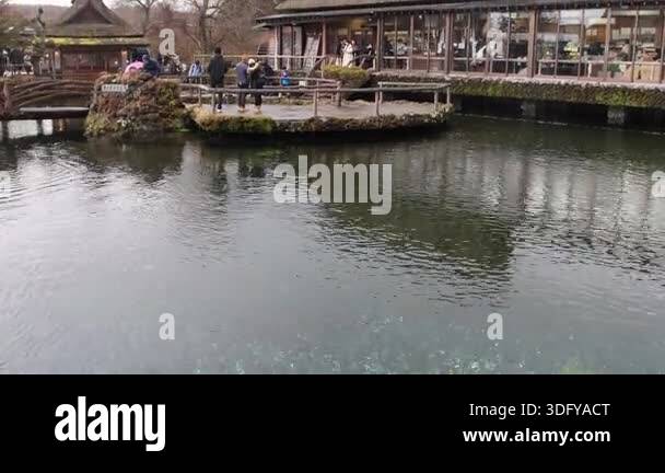 Oshino, Japan- 20 Dec 2025: Nakaike Pond of Oshino Hakkai, Japan. It is ...