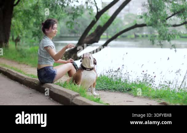 Girl with english bulldog in park near the pond Stock Video Footage - Alamy
