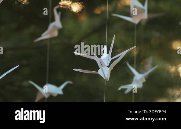 Origami cranes in summer nature Stock Video Footage - Alamy