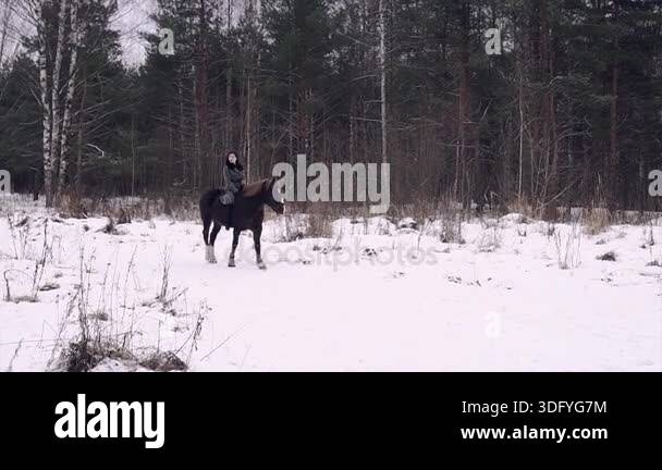 Woman riding on horse in the forest Stock Video Footage - Alamy