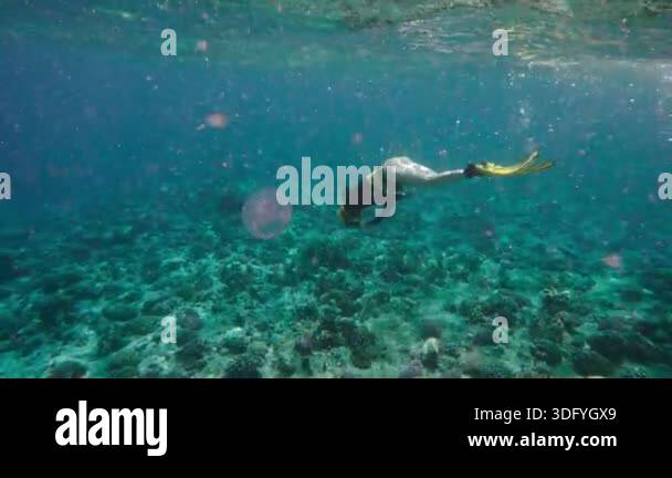 Free diver girl exploring coral reef in sea Stock Video Footage - Alamy