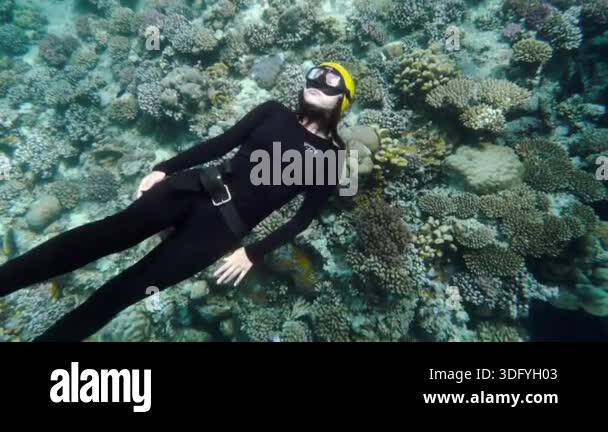 Woman free diving near a coral reef Stock Video Footage - Alamy