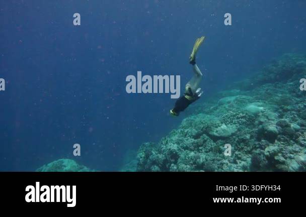 Pretty Free diver girl exploring coral reef life Stock Video Footage ...