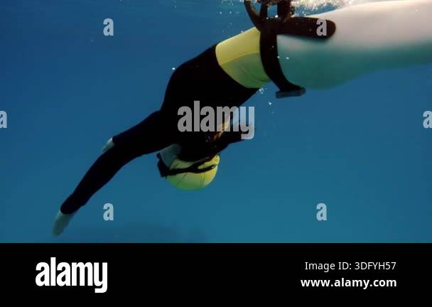 A pretty woman free diving in the pacific ocean Stock Video Footage - Alamy