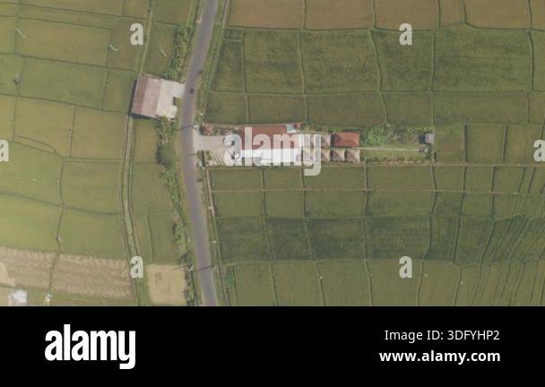 Geometric shapes of agricultural parcels in green color Stock Video ...