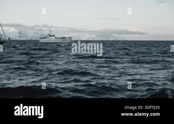 Arctic ship with people watching for two migrating humpback whales ...