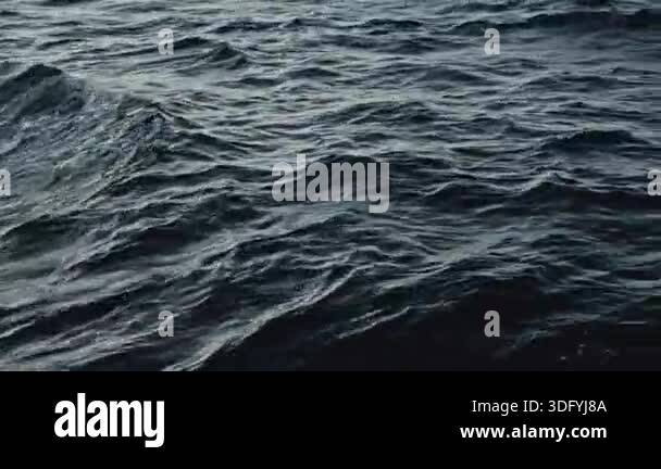 Dark gloomy waves of cold north sea. Arctic cruise to Nothern side ...