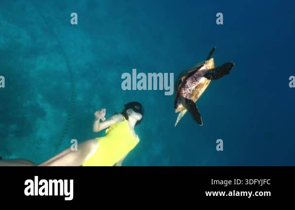 Yong female diving woman swimming in ocean with turtle. Happy ...