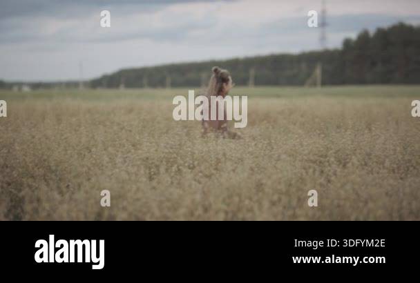 Portrait of beautiful woman with playful young dog in nature. Funny ...
