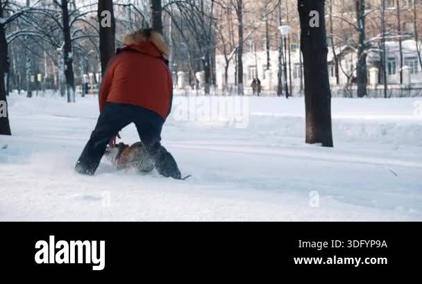 Close up of young bearded man playing with and his cute friend English ...