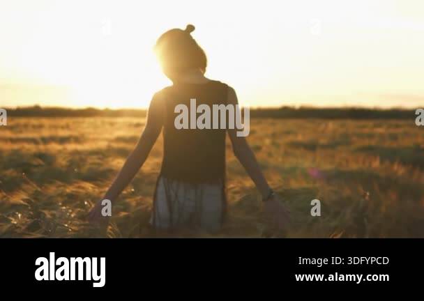 Walking On Summer Field. Her Hands Close Up Touches Flowers. Hand ...