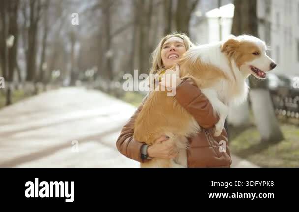Close up of ginger border collie dog and his owner training outside the ...