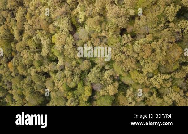 Moving aerial shot from sky high with top view on magnifficent ...