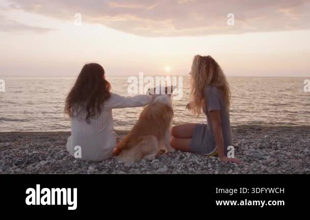Young woman relaxing at the beach with their dog at sunset on the ...