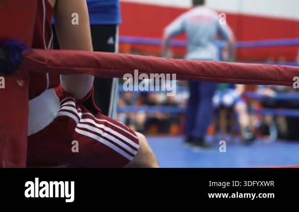 Boxers assistants helping them get in good physical shape. Boxing ring ...