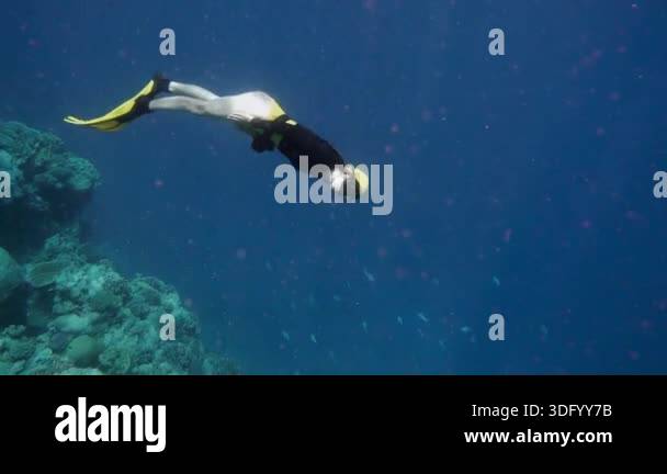 Free diver underwater in sea. Freediving is a sport when a person dives ...