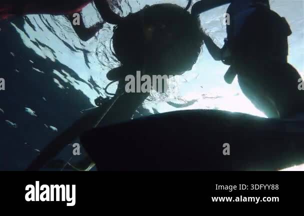 free divers getting ready for dive on the buoy. Freediving is a sport ...