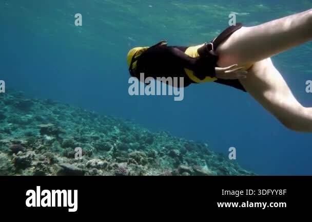 Pretty Free diver enjoying sea wonderful world. Freediving is a sport ...