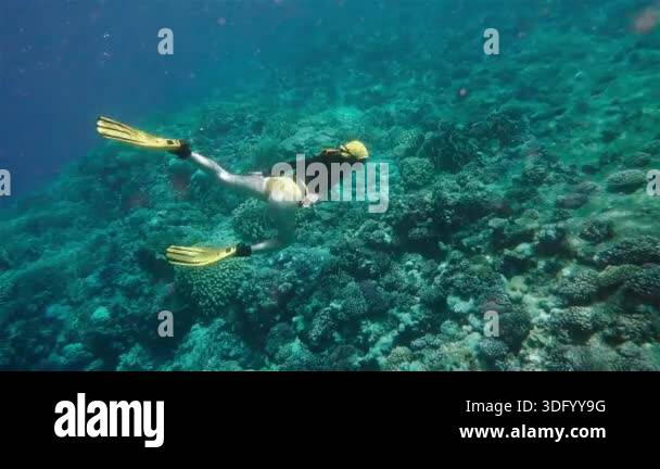 Freediver exploring coral reef in sea. Freediving is a sport when a ...