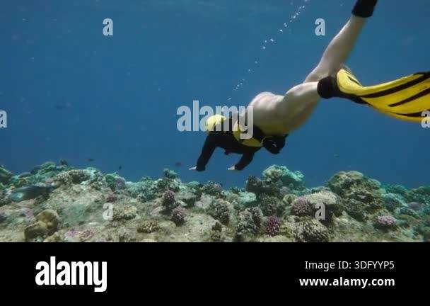 Young Free diver exploring coral reef in sea. Freediving is a sport ...