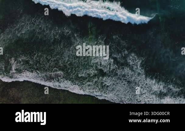 Copy space and background concept. Top down view of fantastic tropical ...