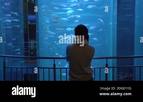 Back view on woman using audioguide standing in front giant round light ...
