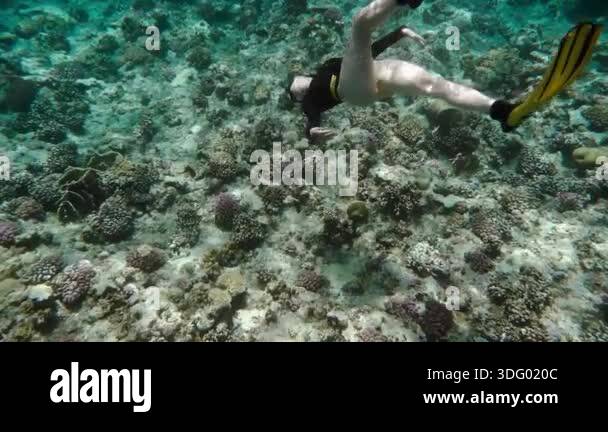 Pretty Free diver relaxing in coral reef in sea. Freediving is a sport ...