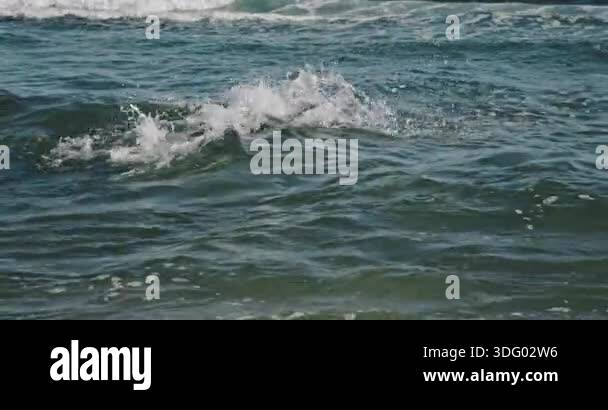 Dark gloomy waves of cold north sea. Arctic cruise to Nothern side ...