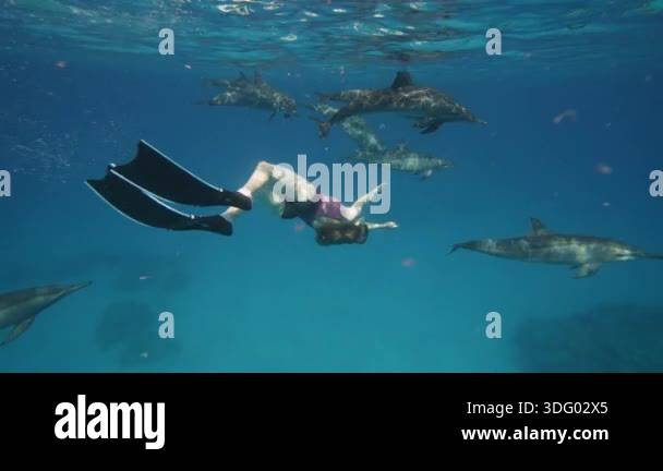 Beautiful young woman swimming underwater with dolphins in pristine ...