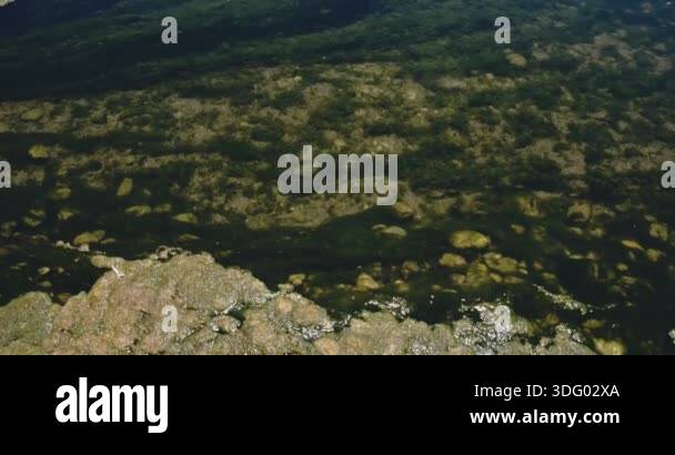 Dark gloomy waves of cold north sea. Arctic cruise to Nothern side ...