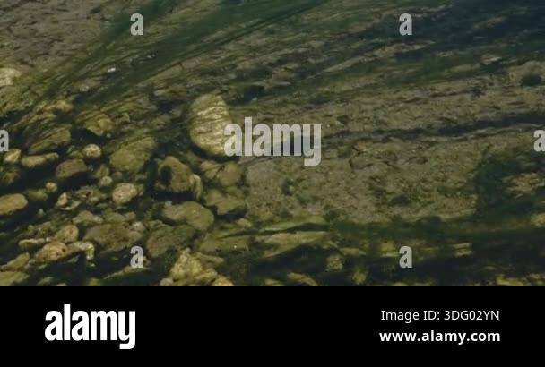 Dark gloomy waves of cold north sea. Arctic cruise to Nothern side ...