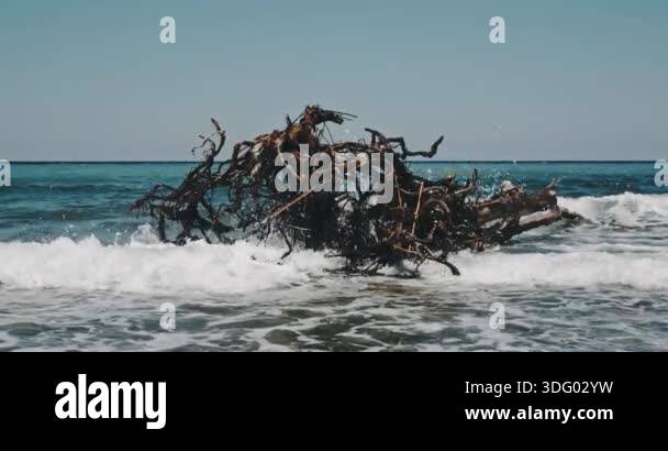 Dark gloomy waves of cold north sea. Arctic cruise to Nothern side ...